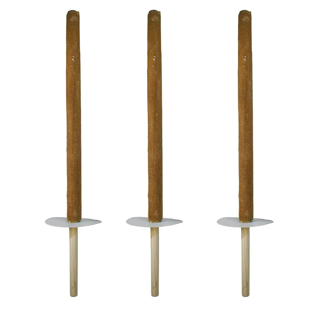Wax torch 55 cm (pack of 3) – ASMC Unlimited